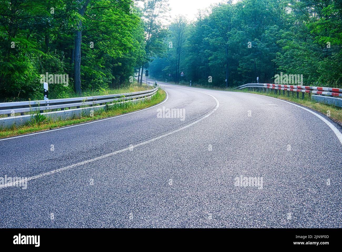 Asphalt road surrounded trees hi-res stock photography and images - Alamy