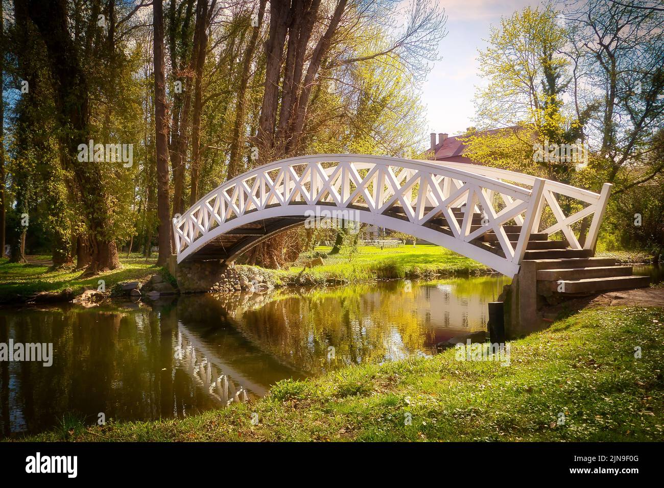 A bridge over lake surrounded by growing trees Stock Photo - Alamy