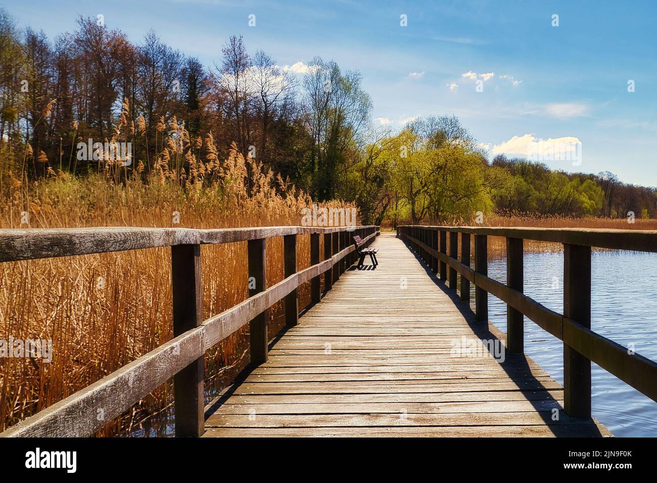 An aerial view of beach with wooden bridge and bench surrounded by ...