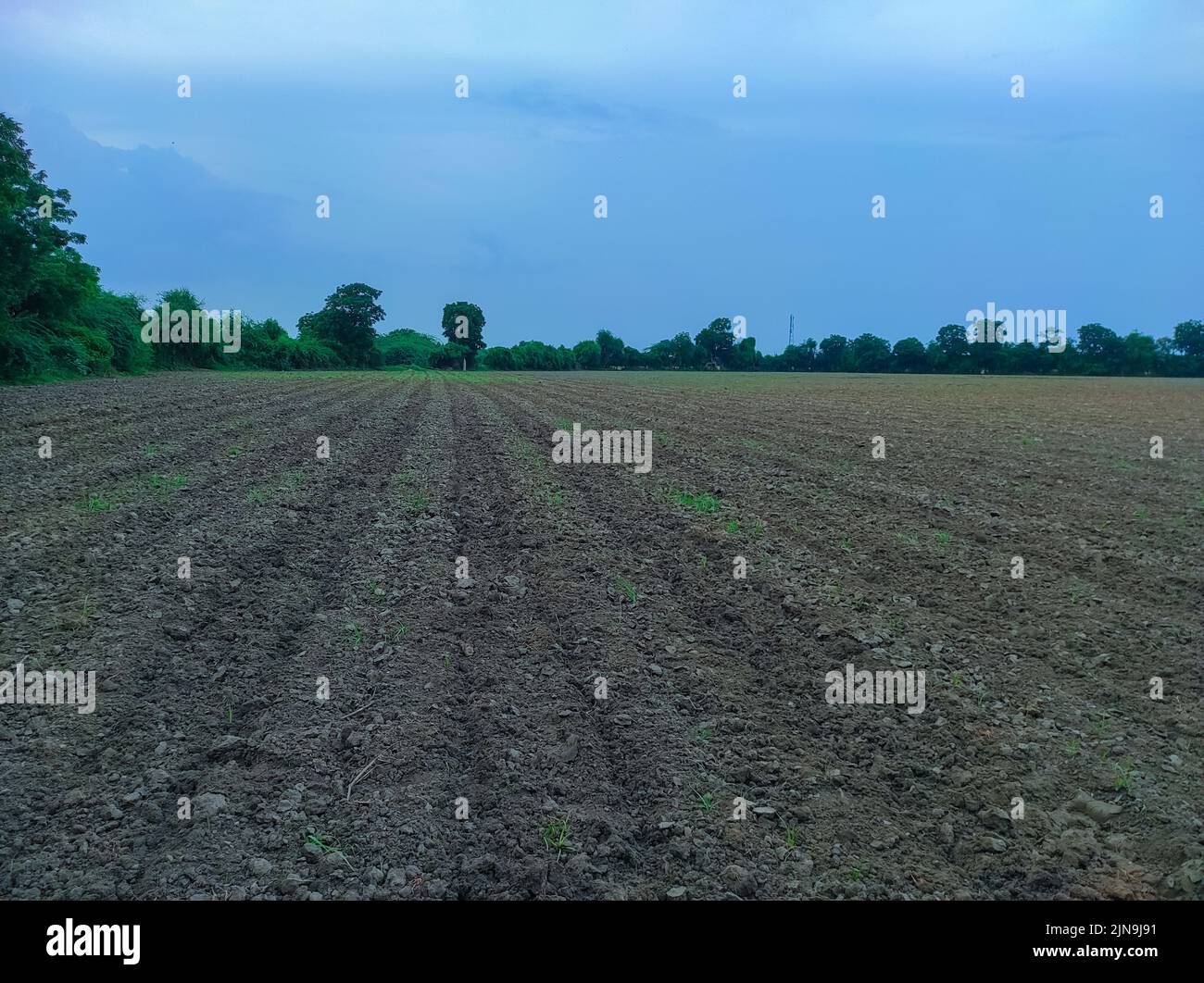 A Beautiful Shot Of Indian Village Farm Photo Stock Photo - Alamy