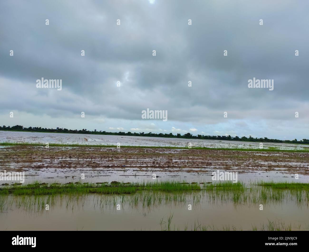 A Beautiful Shot Of Indian Village Farm And Lake Beauty Background ...