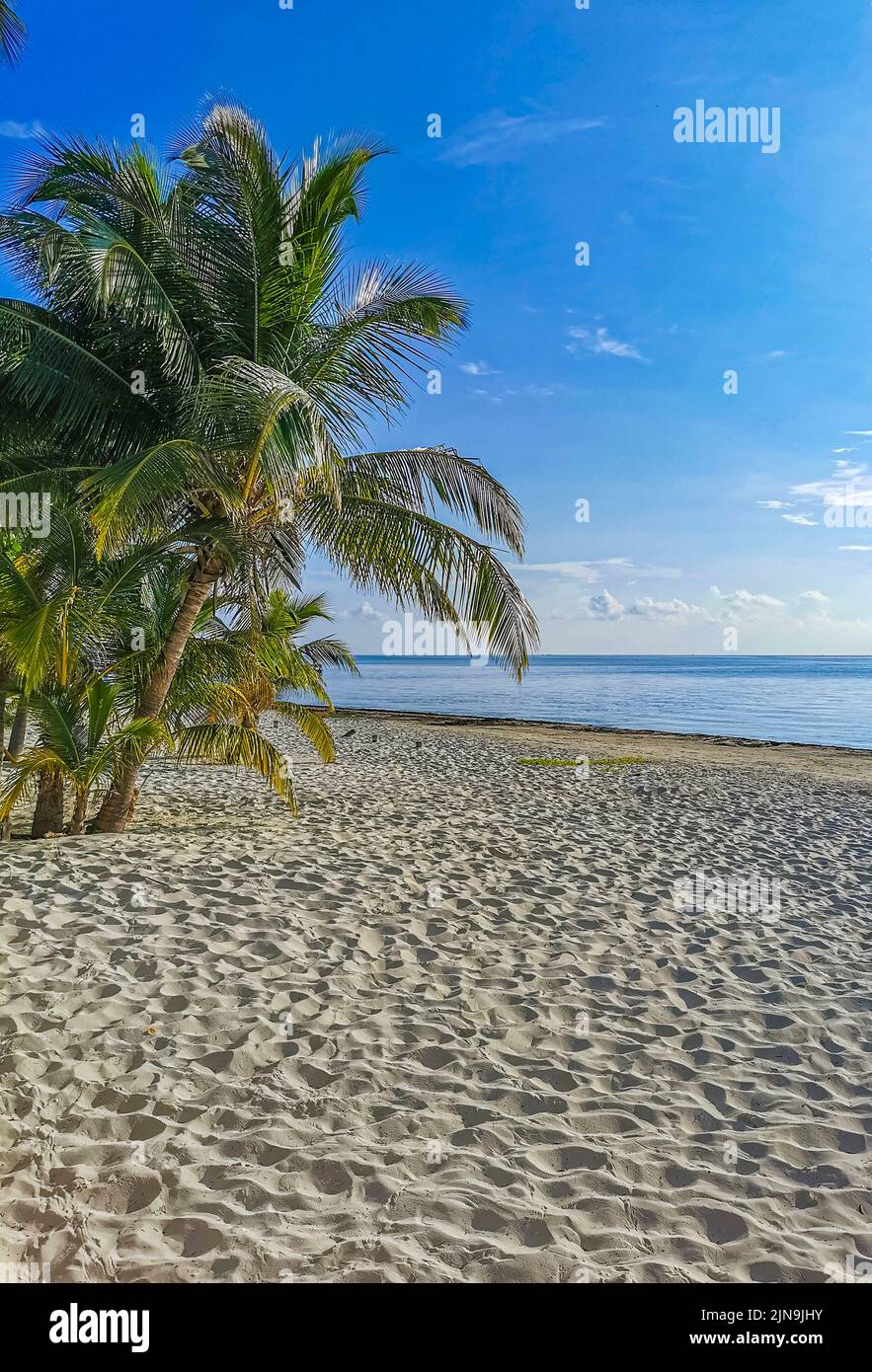 Beautiful Playa Azul beach and seascape panorama with blue turquoise ...