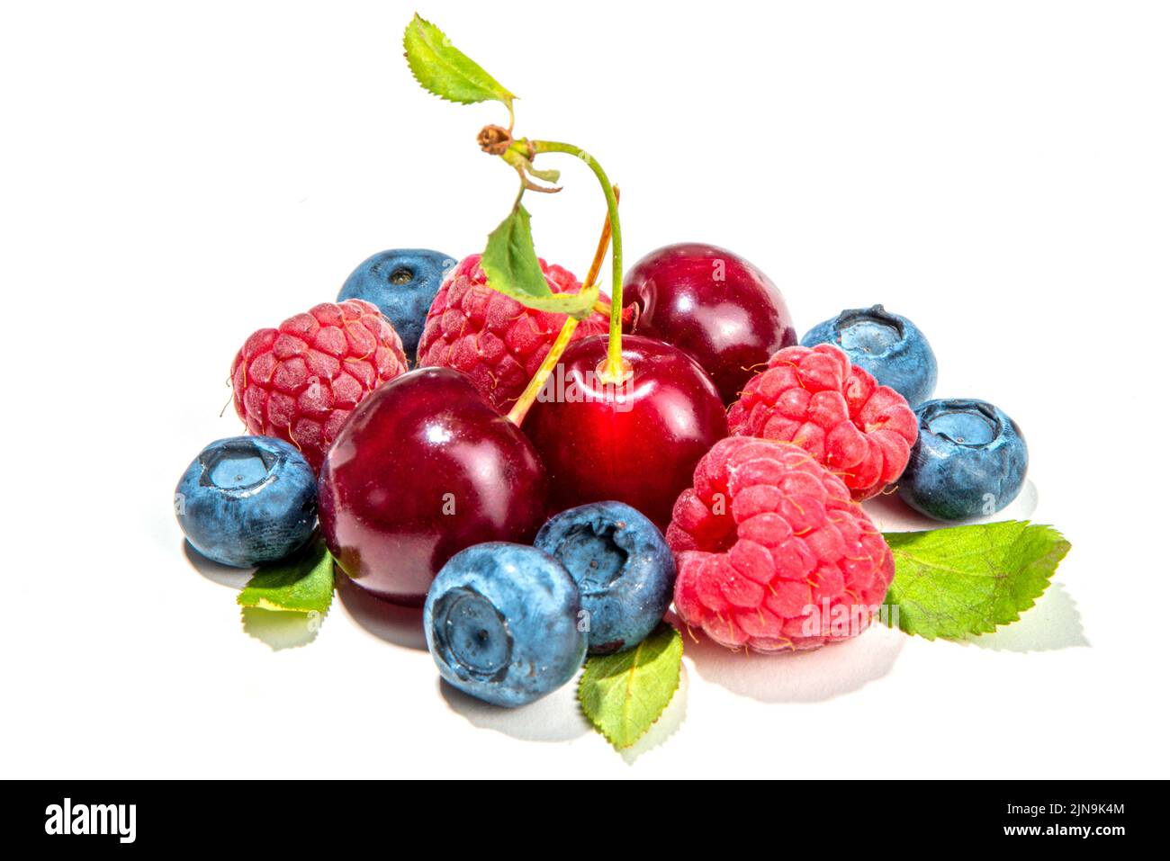 Mix of isolate blueberry, blackberry, raspberry, cherry and mint. Fresh ...