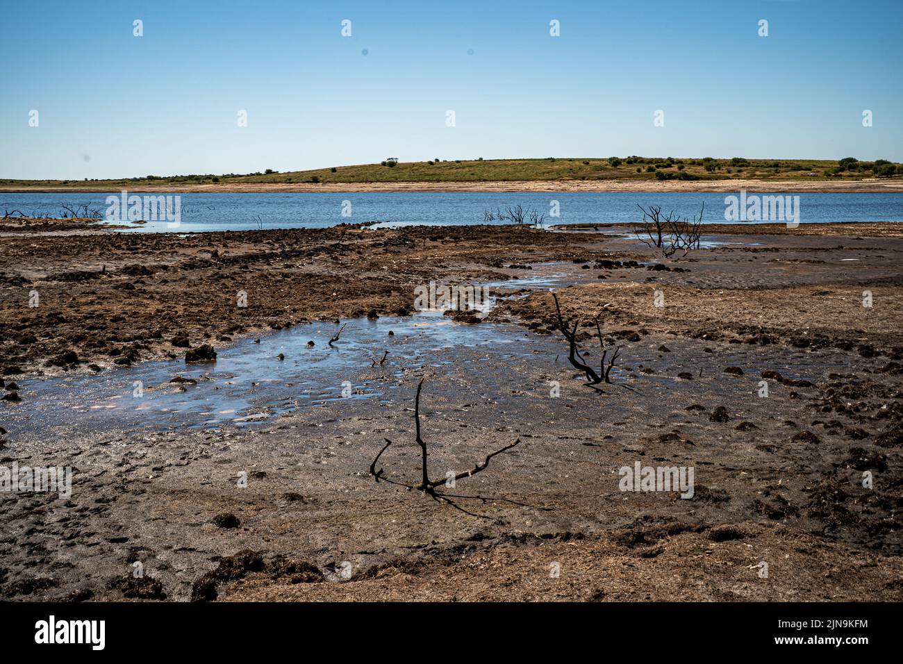 Dried mud and old trees at Colliford Lake, where water levels have ...