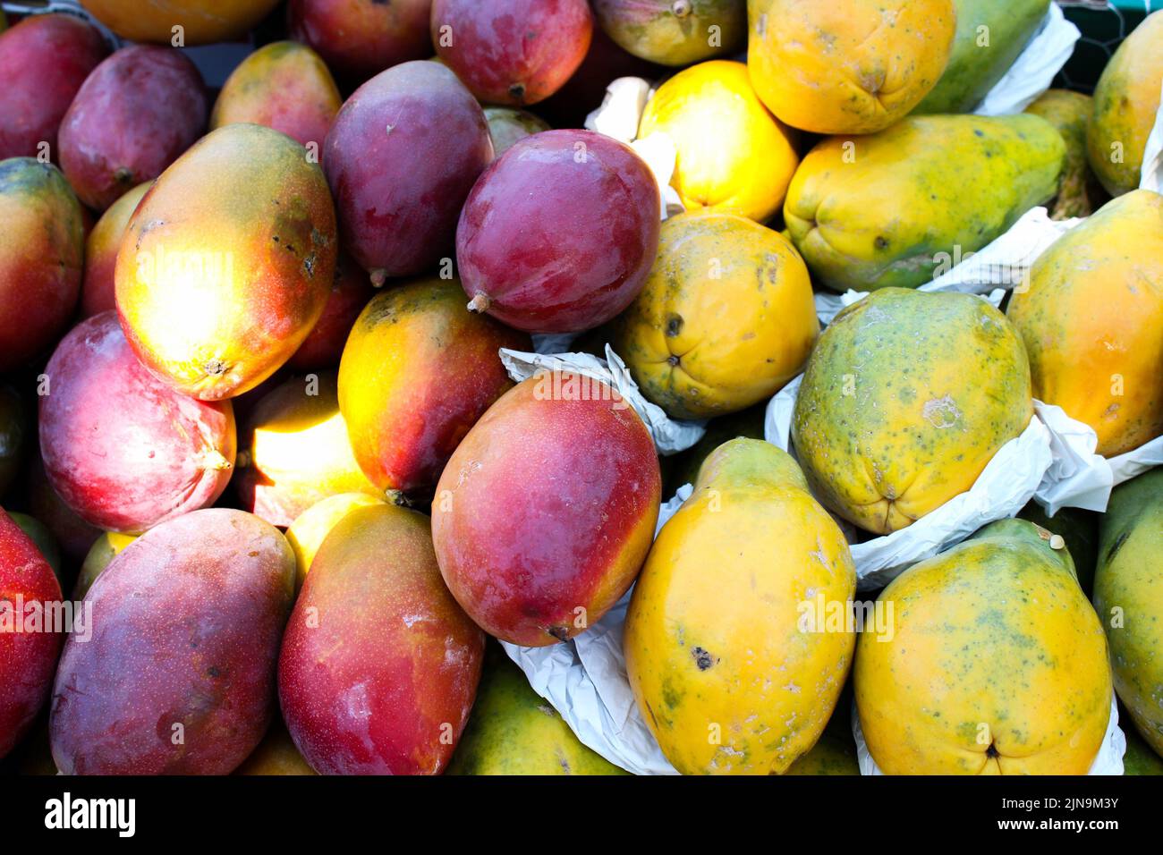 mango fruit and yellow papaya Stock Photo - Alamy