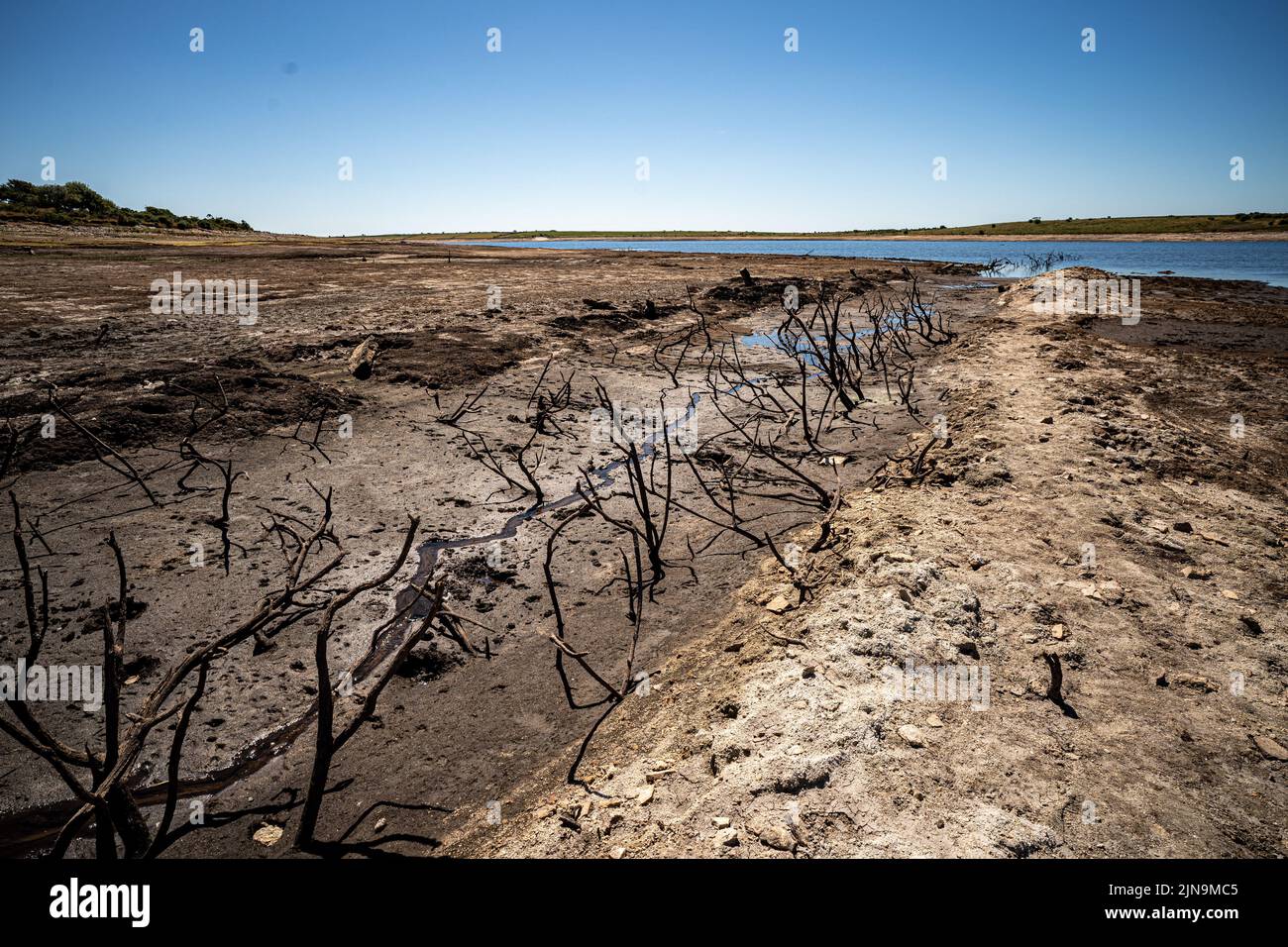 Dried mud and old trees at Colliford Lake, where water levels have ...