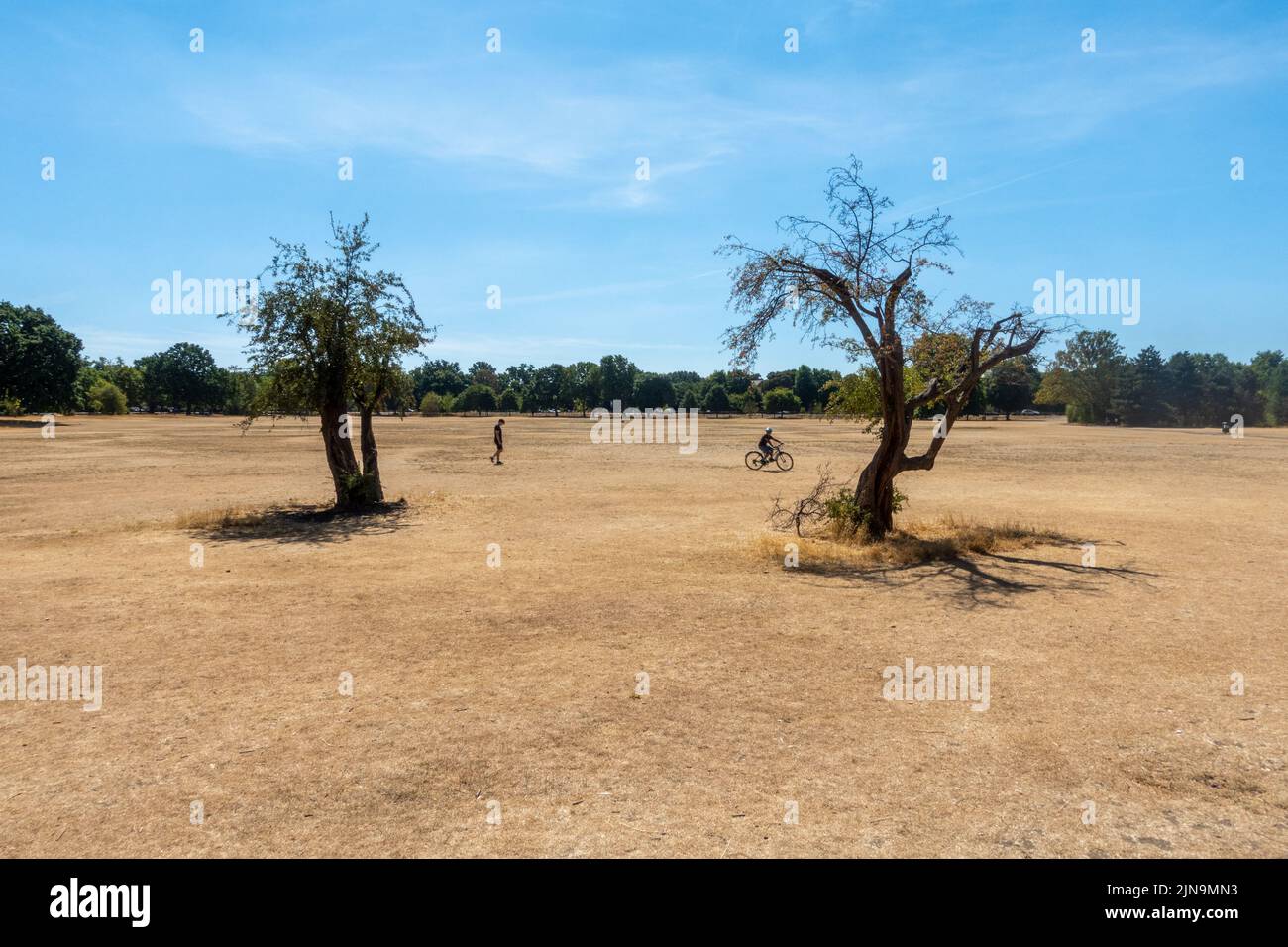 Drought on Tooting Common London Stock Photo - Alamy