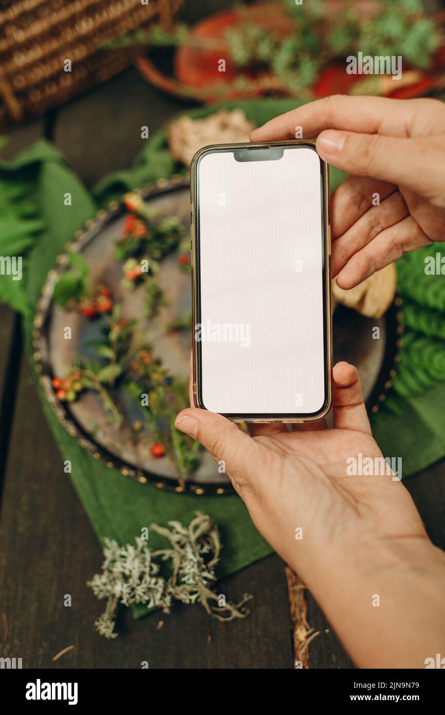 empty mobile phone mockup on the background of nature in the forest ...