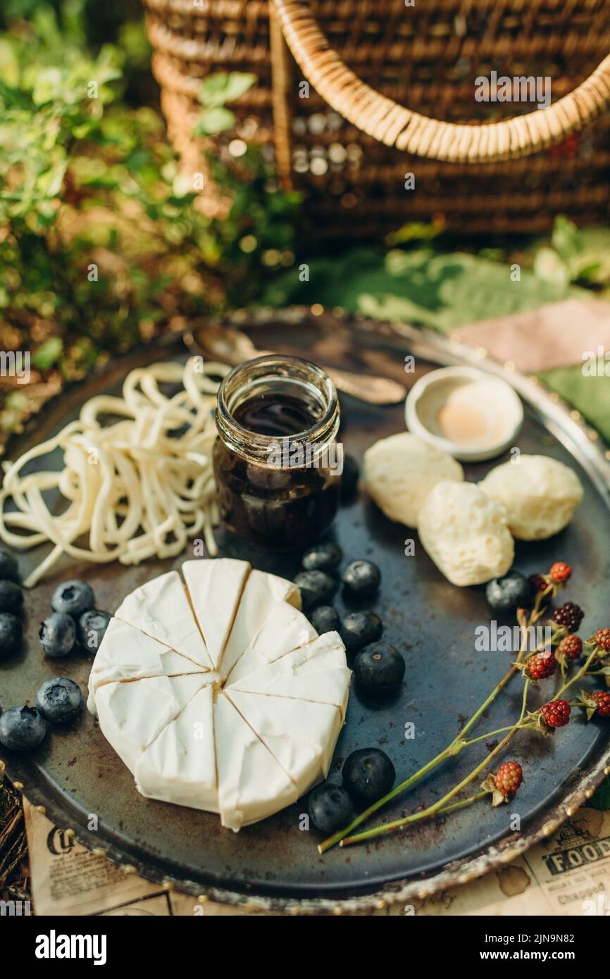 forest picnic on the background of moss and blueberry bushes, cheese ...