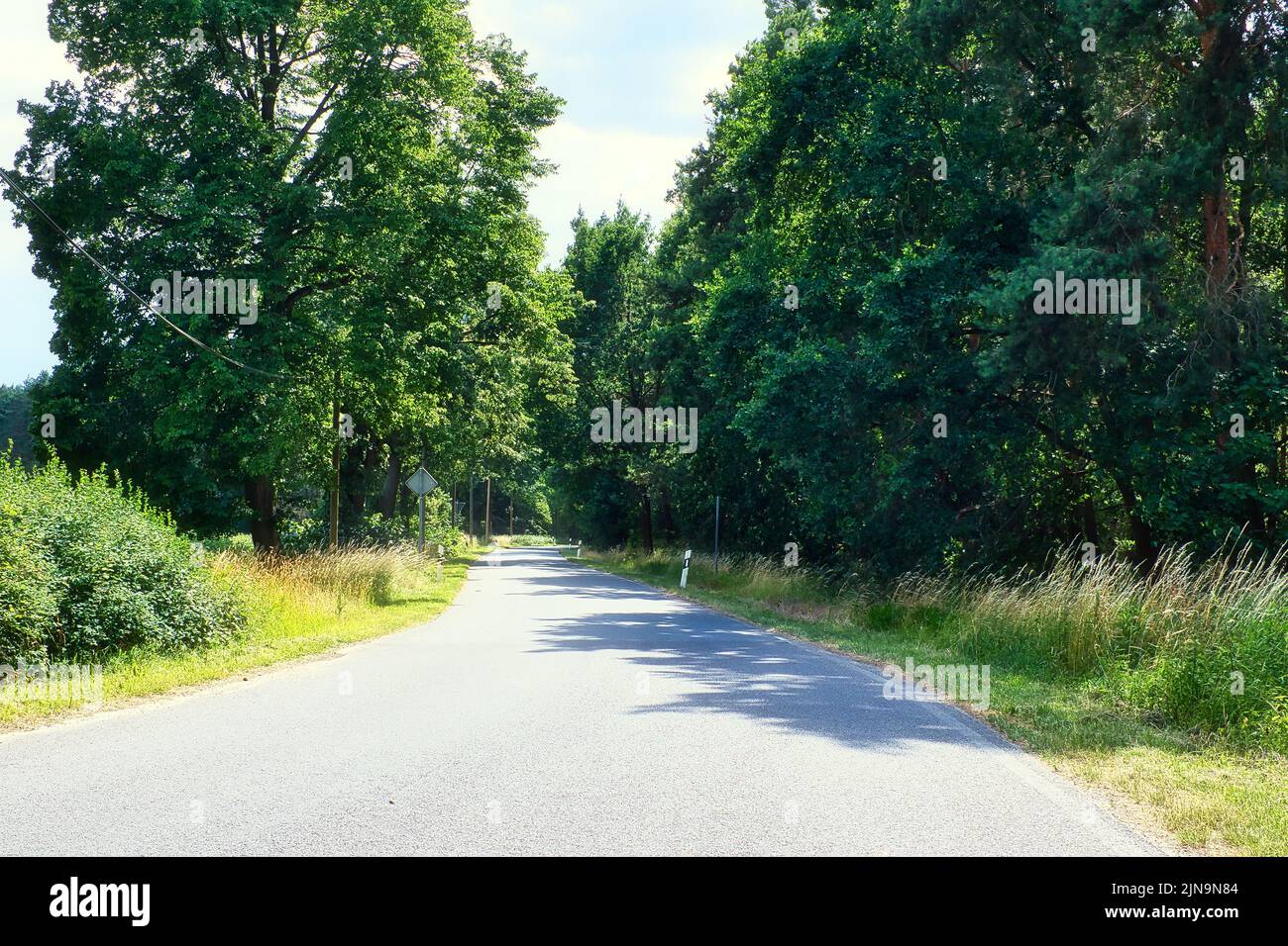 Trees alongside road hi-res stock photography and images - Alamy