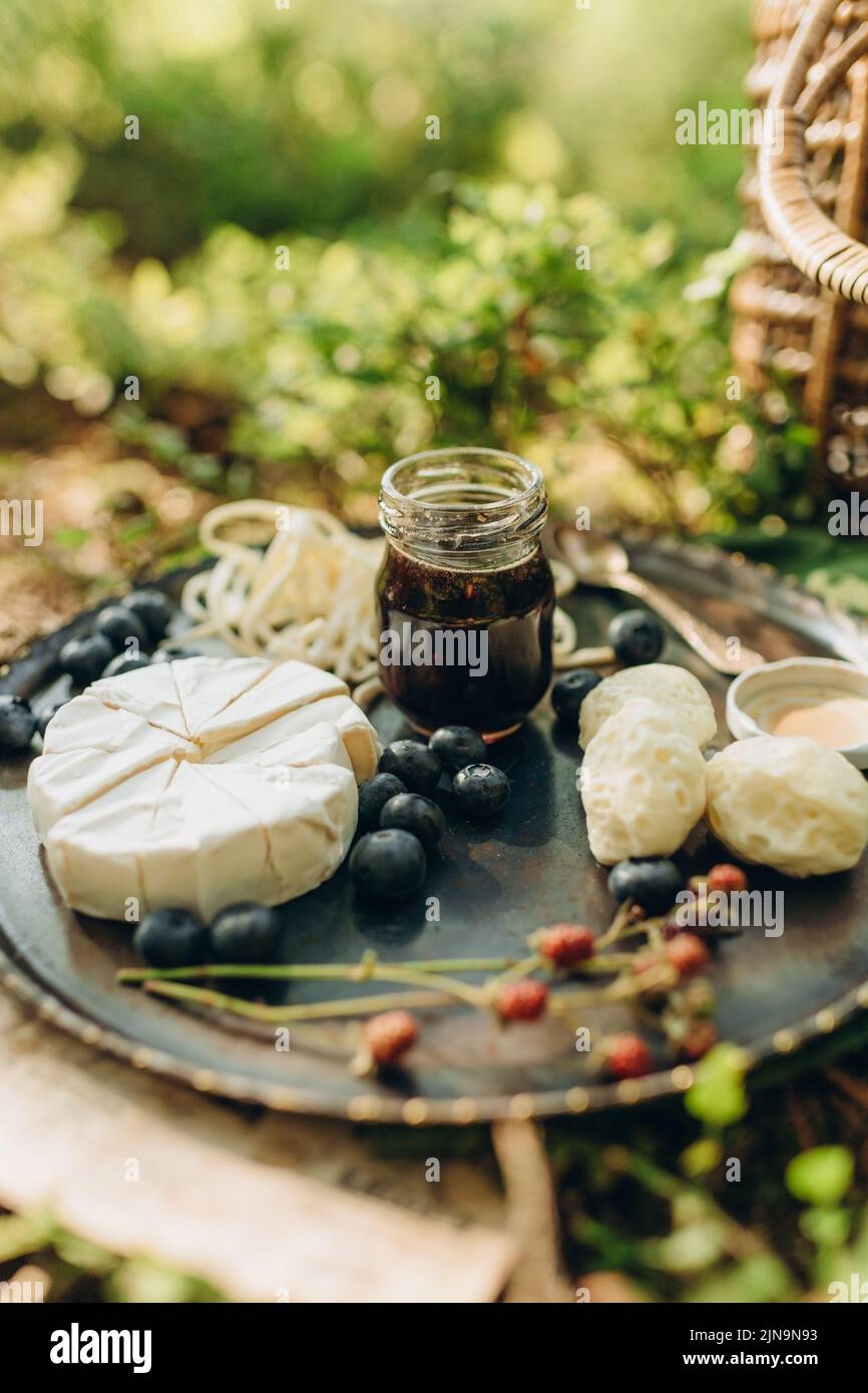 forest picnic on the background of moss and blueberry bushes, cheese ...