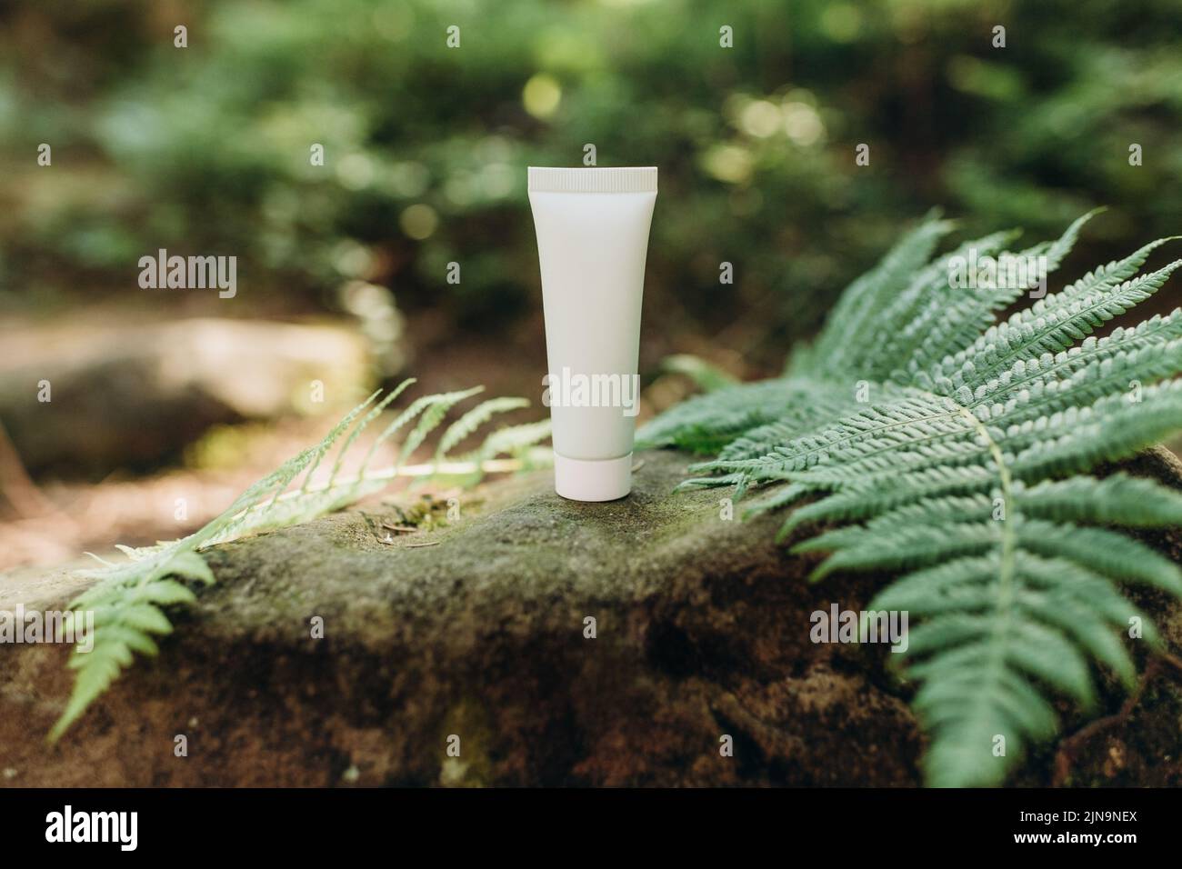 Mockup of a tube for cream on a natural background in the forest, an ...
