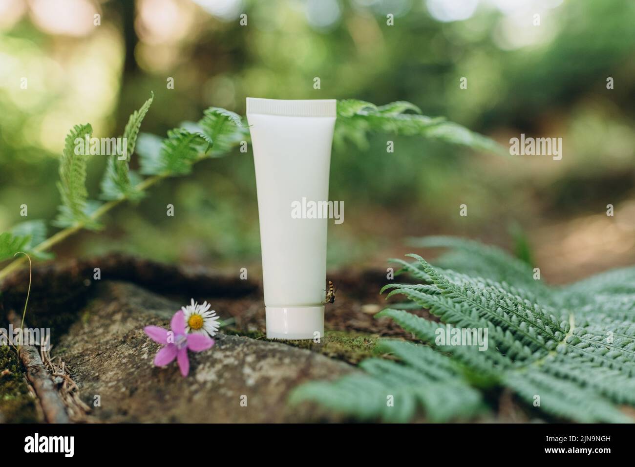 Mockup of a tube for cream on a natural background in the forest, an ...