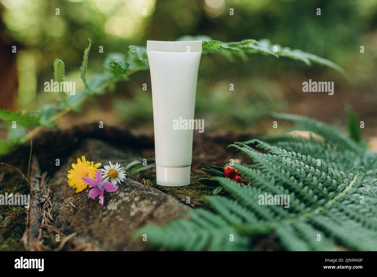 Mockup of a tube for cream on a natural background in the forest, an ...