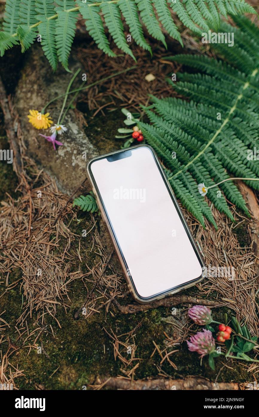 empty mobile phone mockup on the background of nature in the forest ...