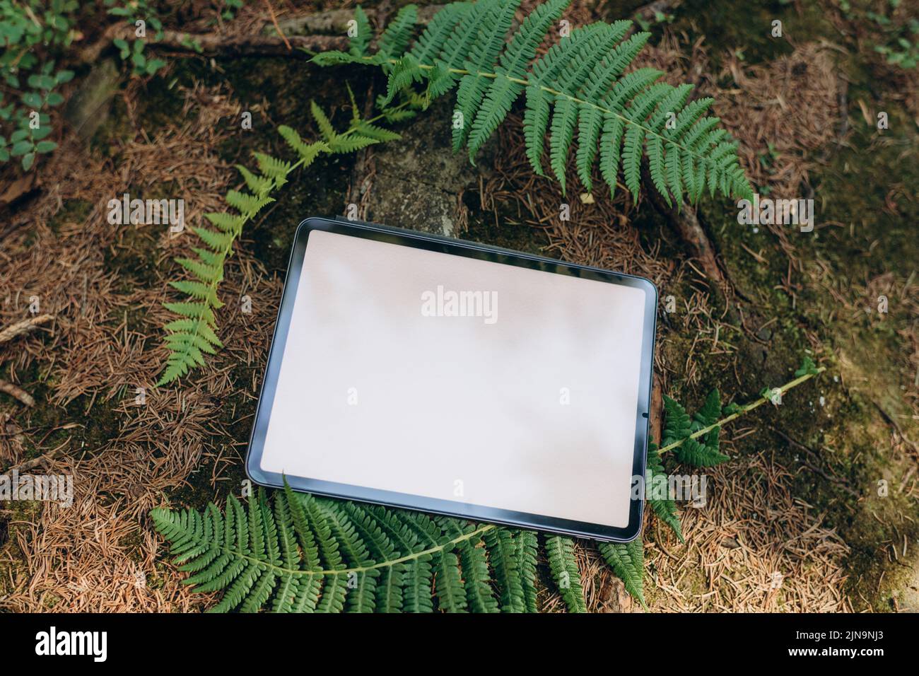 Tablet mockup on the background of nature in the forest. Workplace in ...