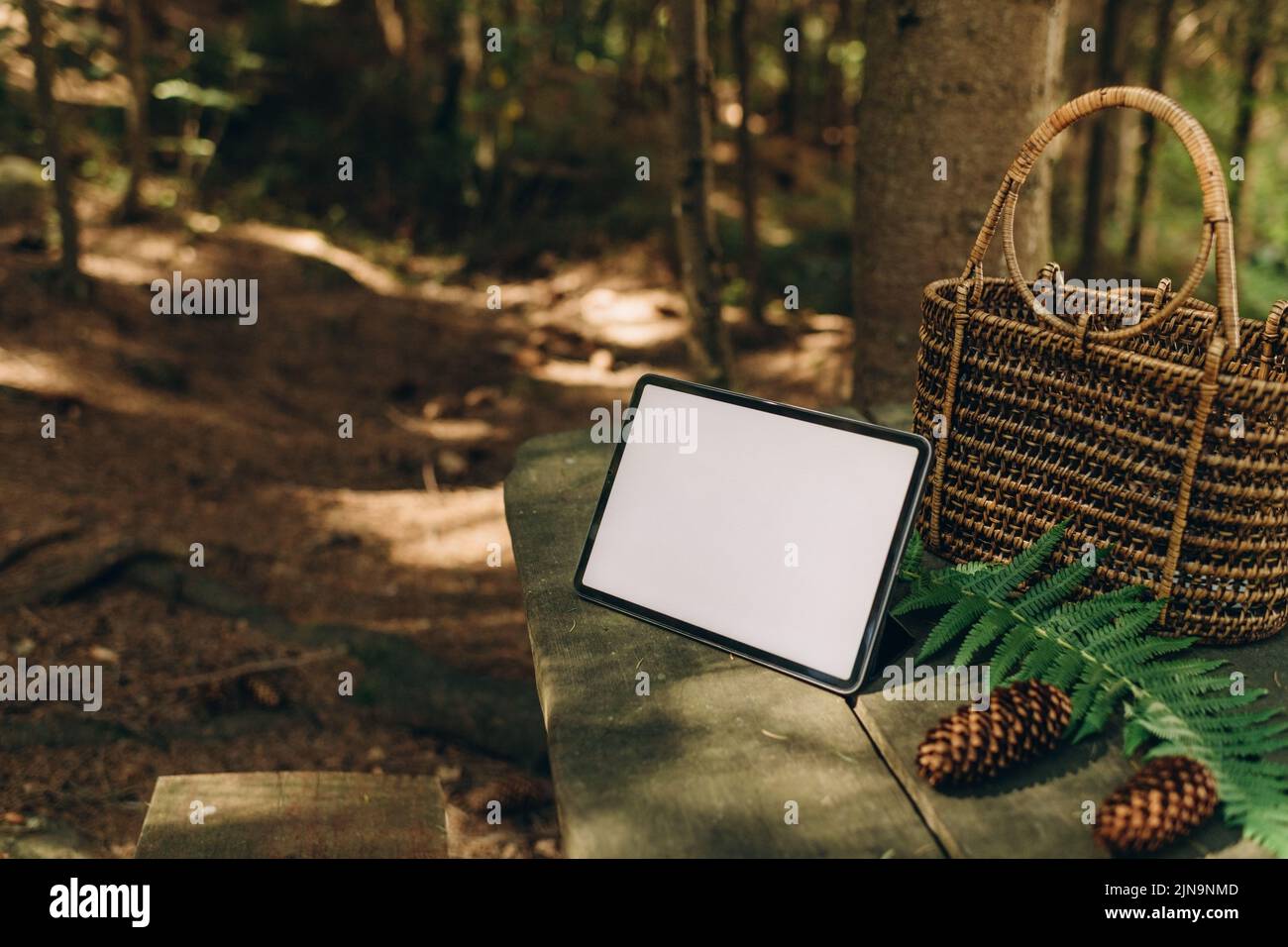 Tablet mockup on the background of nature in the forest. Workplace in ...