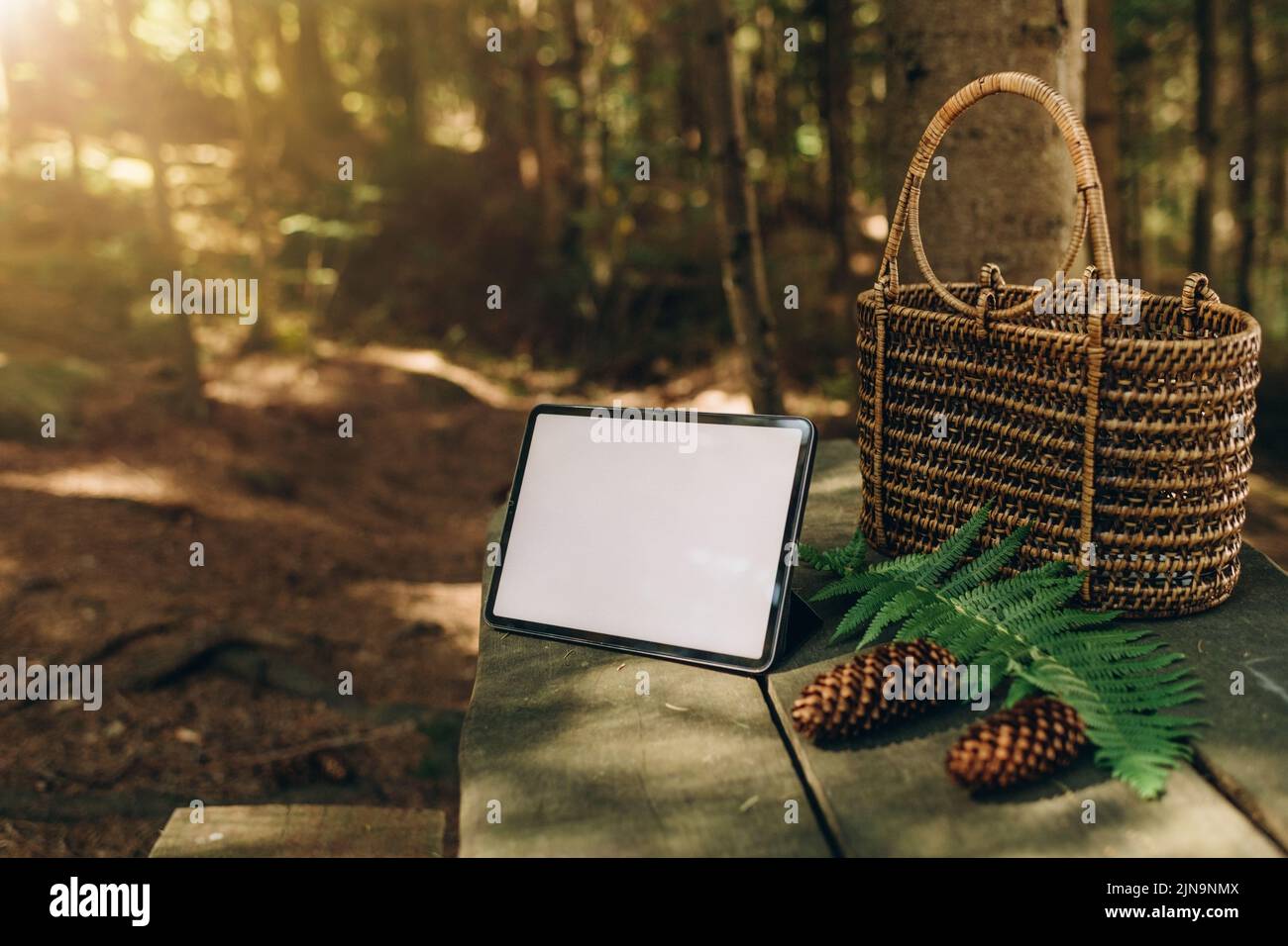 Tablet mockup on the background of nature in the forest. Workplace in ...
