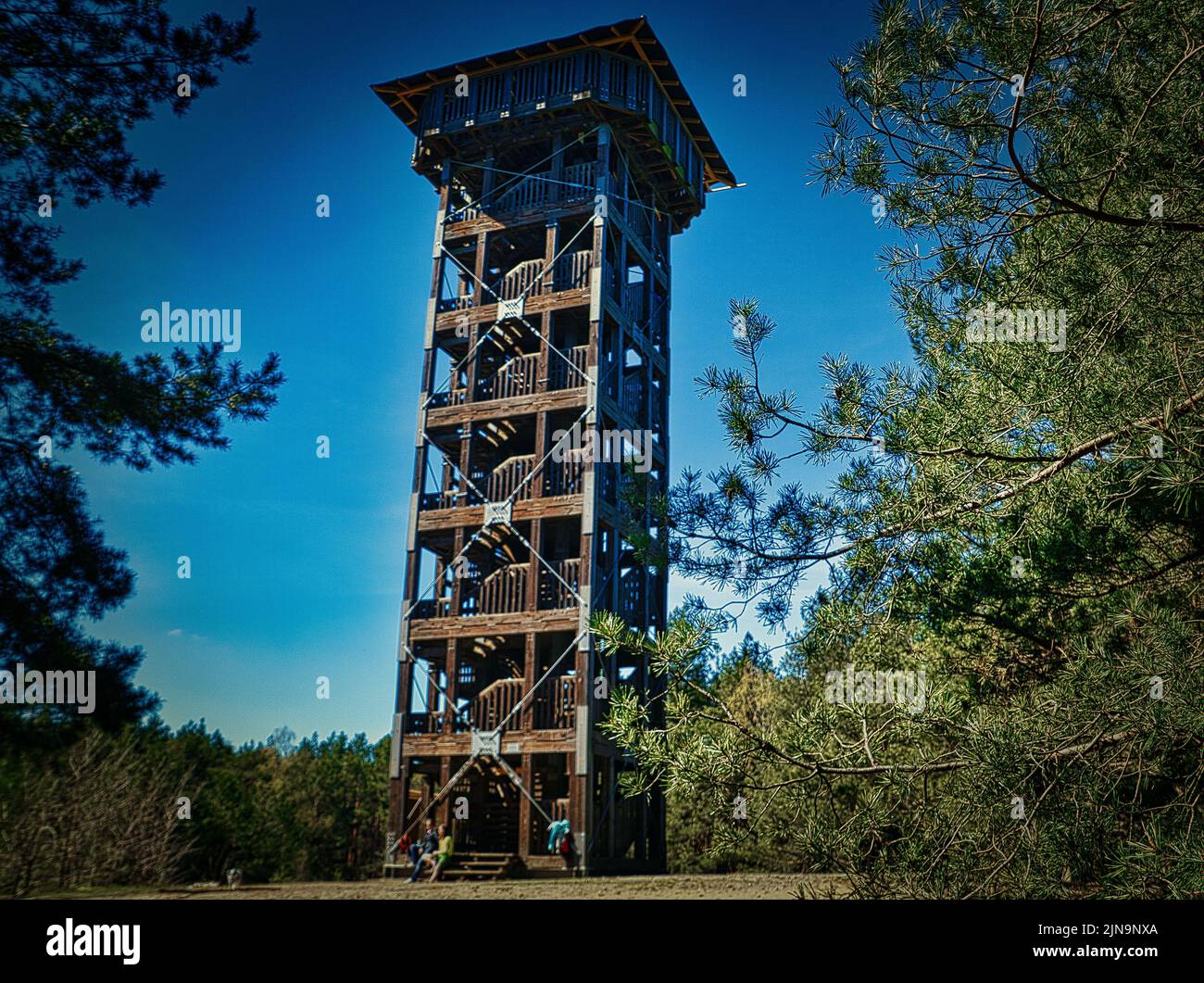 The observation tower in a forest surrounded by green vegetation Stock Photo - Alamy
