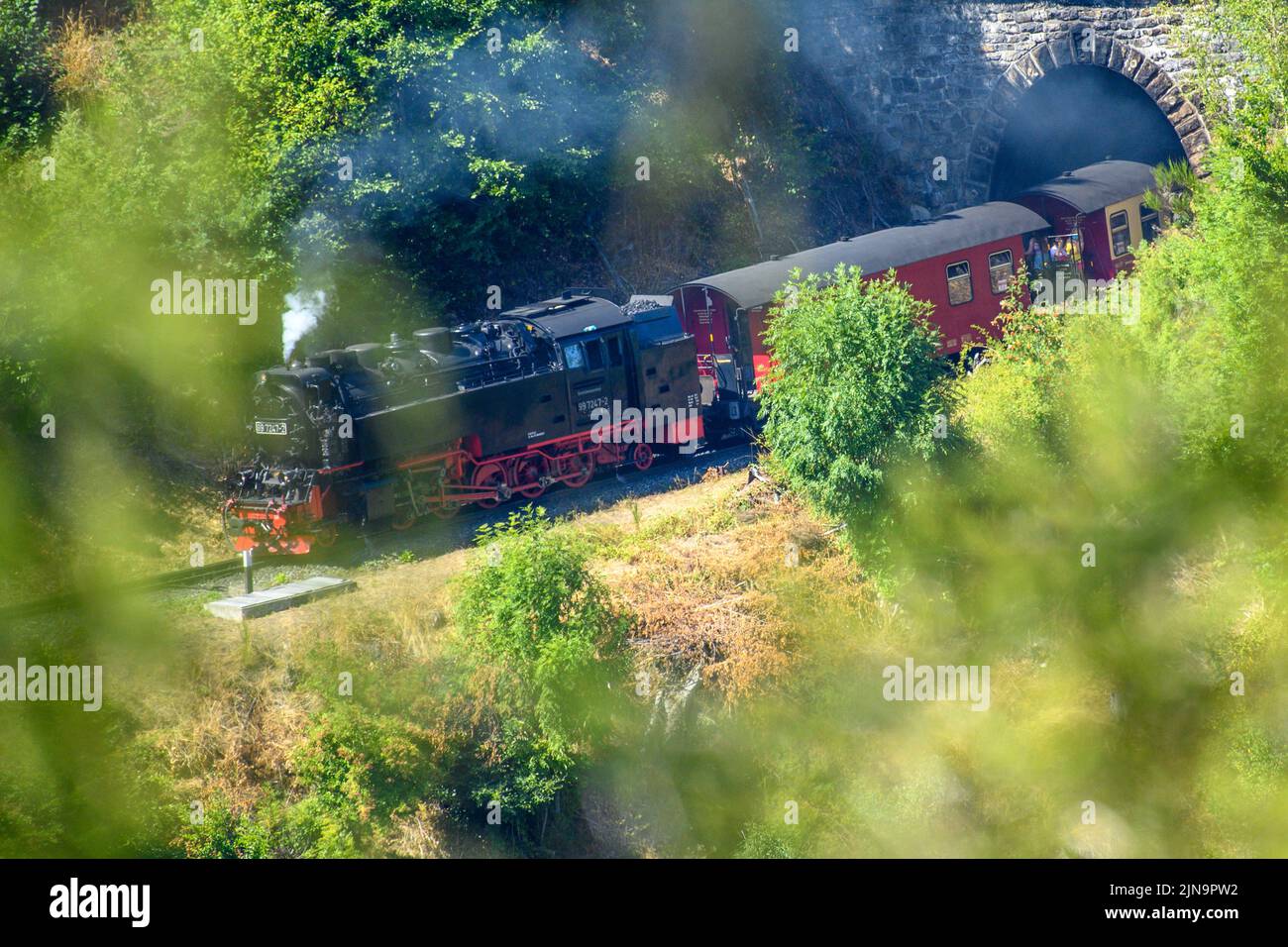Wernigerode, Germany. 10th Aug, 2022. A train of the Harzer ...