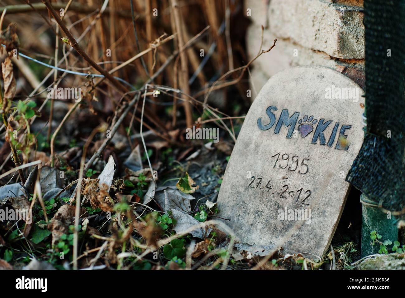 Pet cemetery. Dog's tombstone. Grave Stock Photo - Alamy