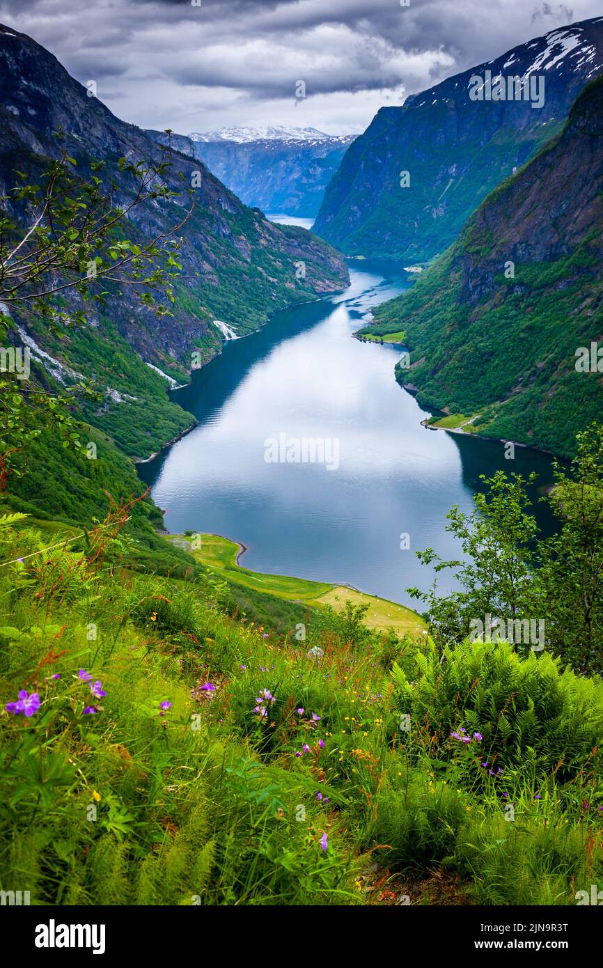 Majestic naeroyfjord from above in western Norway, Scandinavia Stock ...