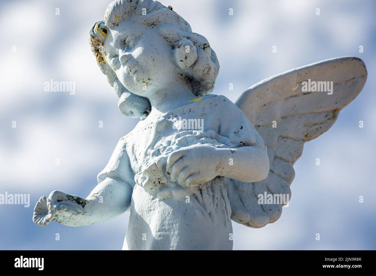 Seraphim angel sad with flower for forgiveness and hope of better days ...