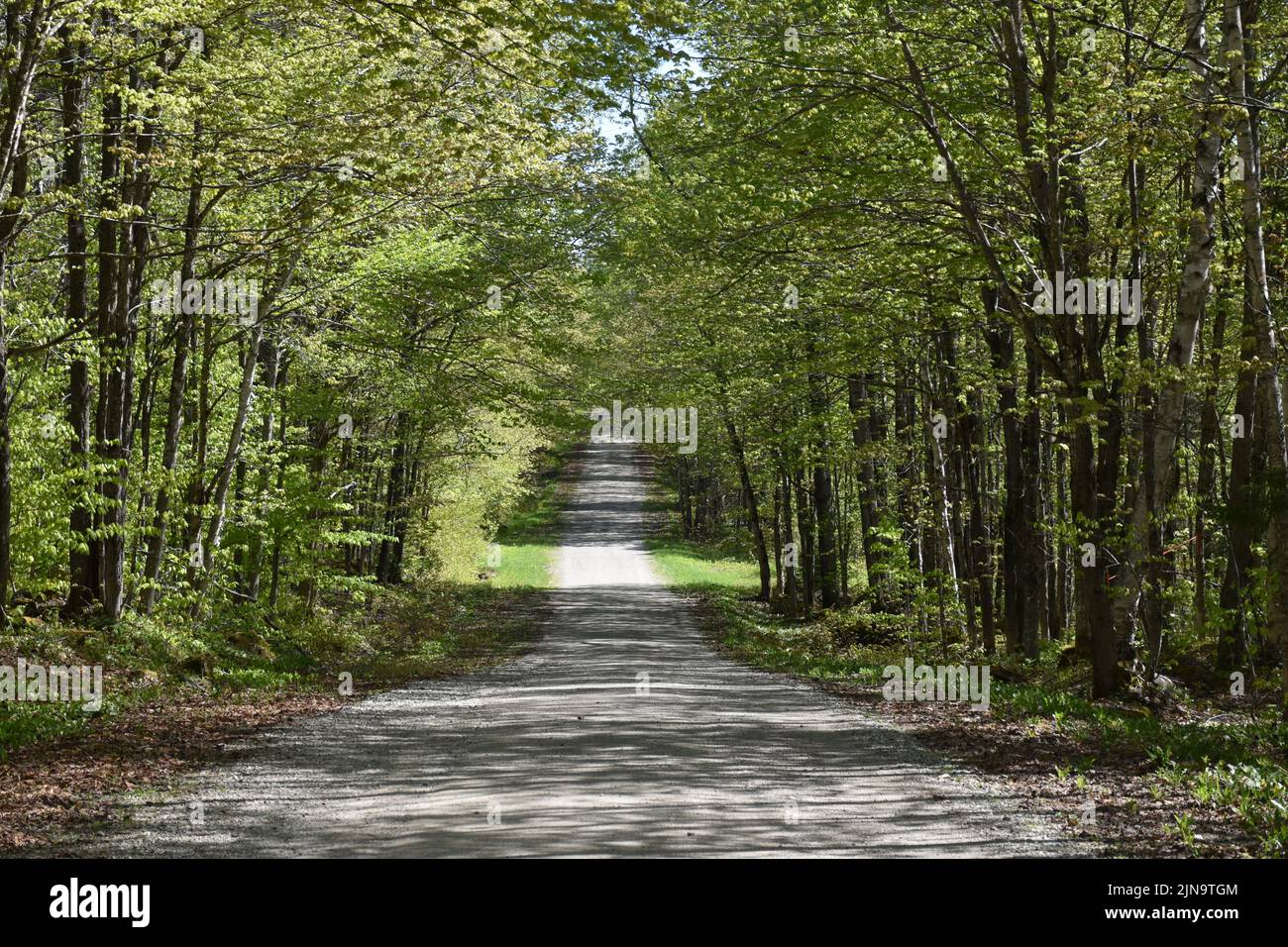 Quebec country road hi-res stock photography and images - Alamy