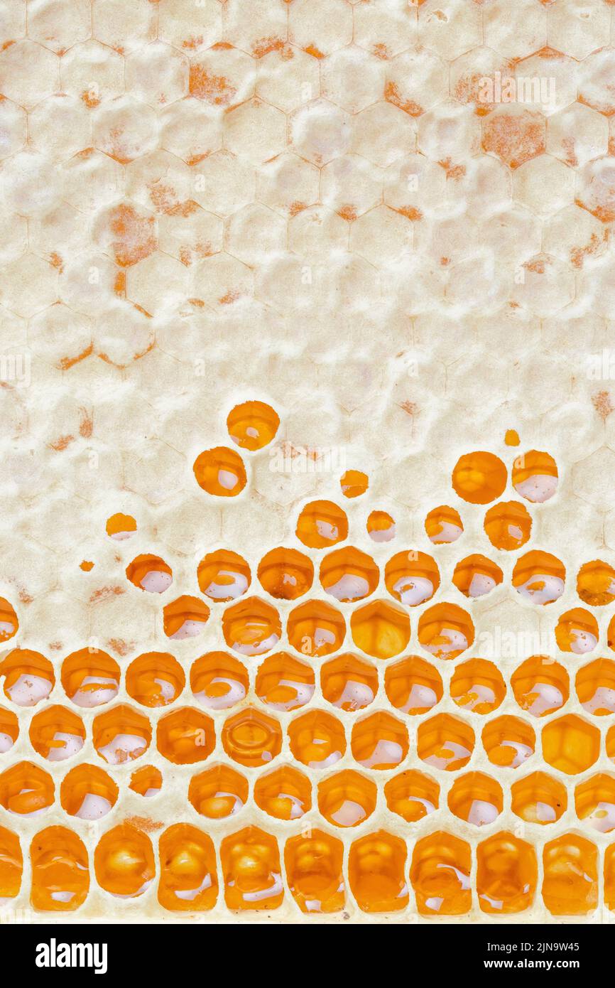 Honeycombs with honey. Natural background Stock Photo - Alamy