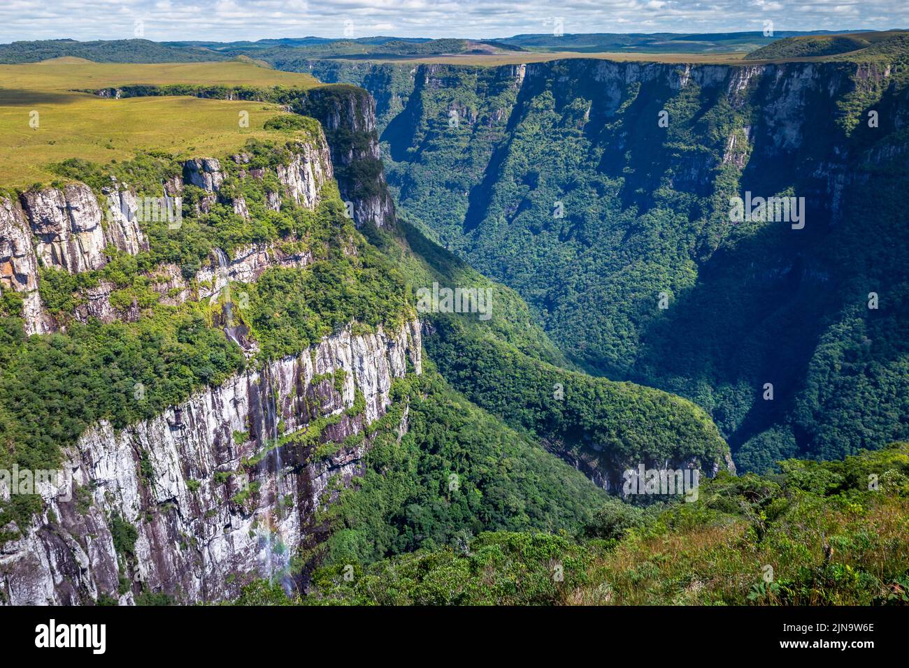 Rainforest canyon hi-res stock photography and images - Alamy