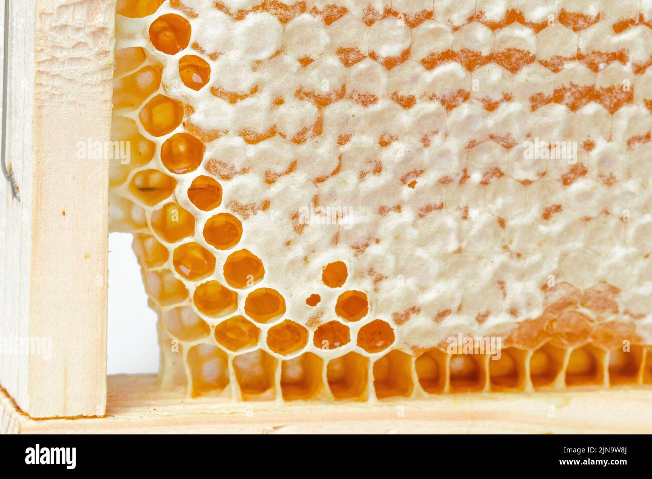 Honeycombs with honey. Natural background Stock Photo - Alamy