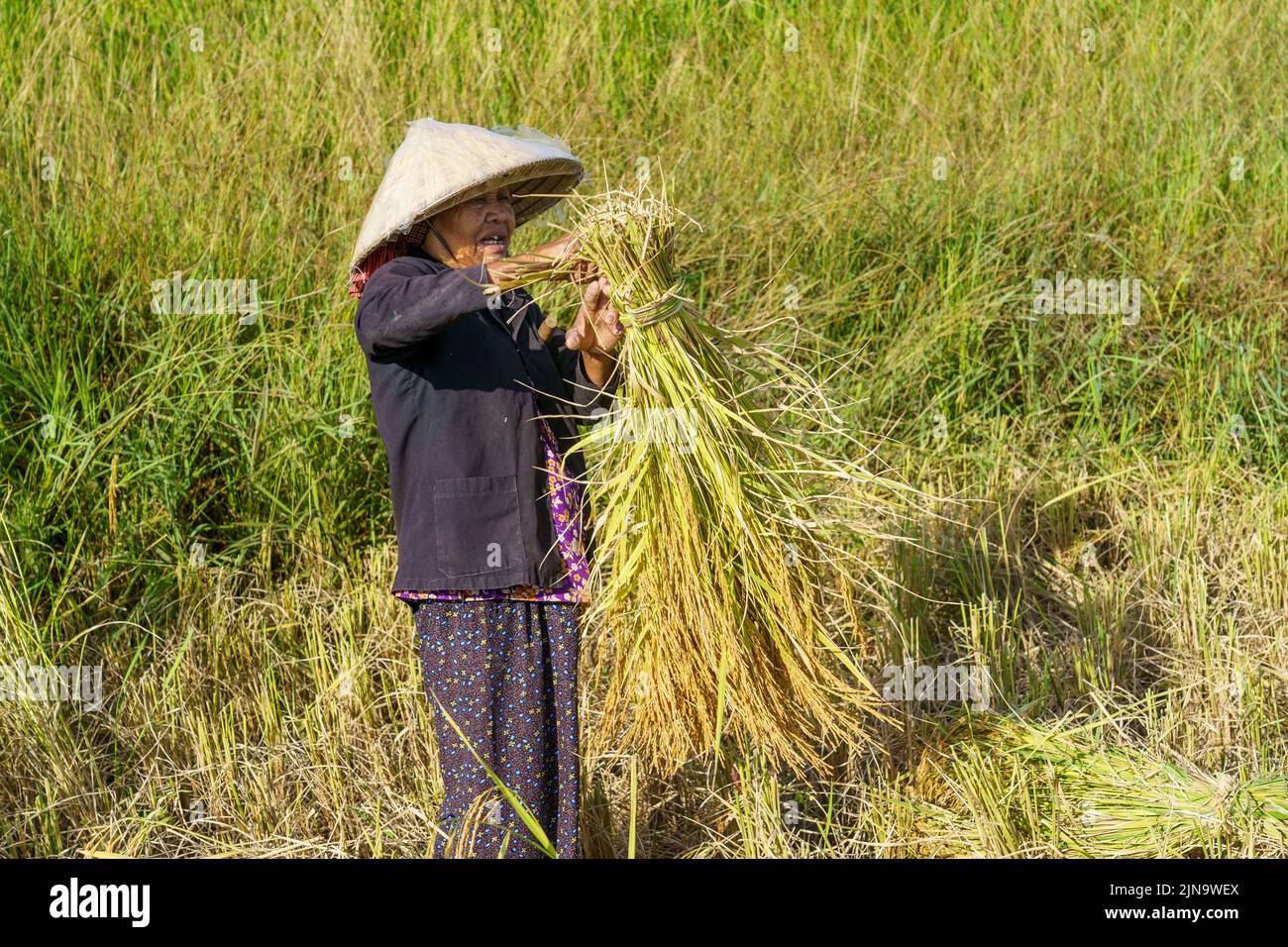Cambodia. The seaside resort of Kep. Krong Kep Province. Old woman ...