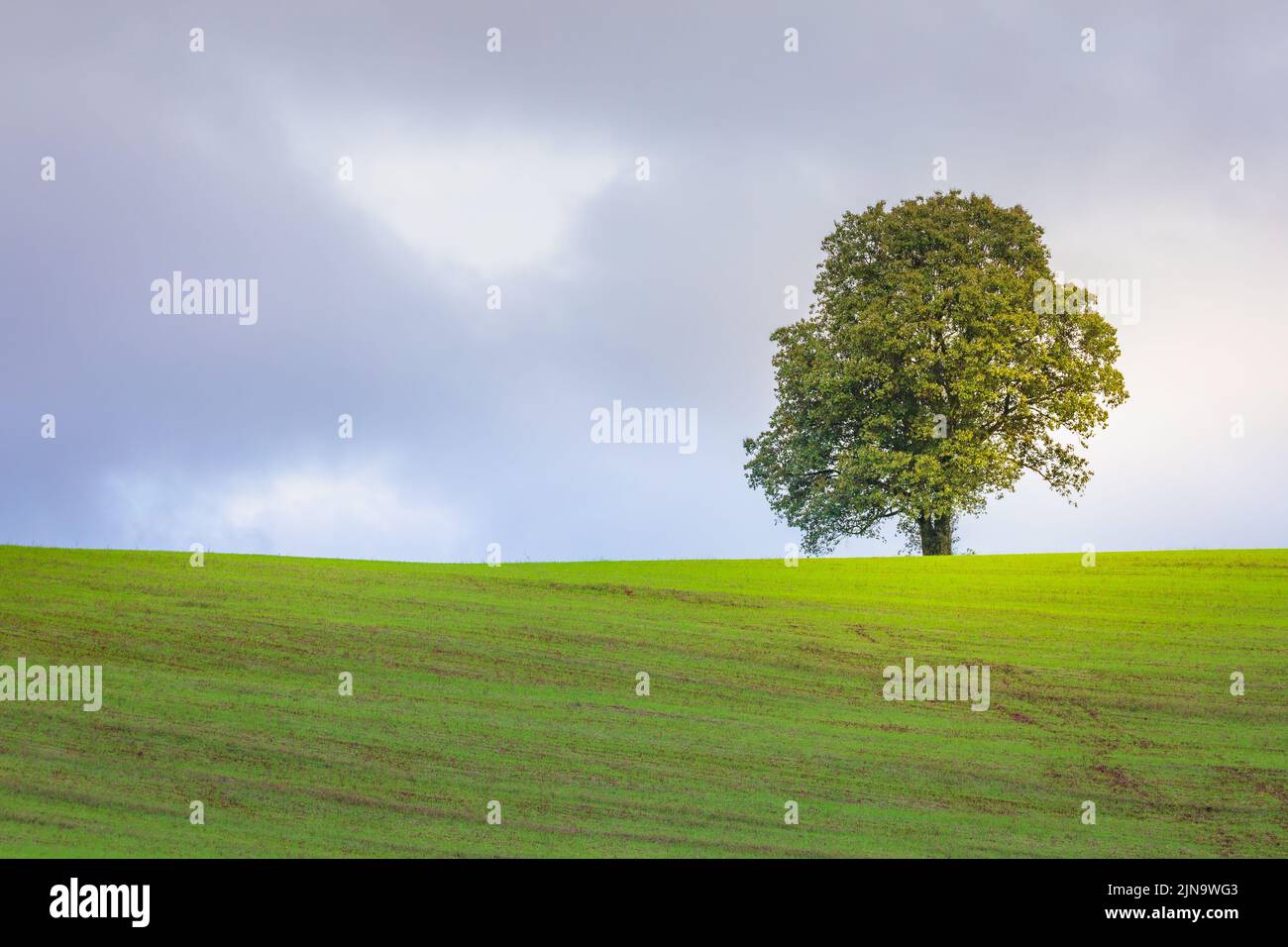 Tall dramatic space hi-res stock photography and images - Alamy