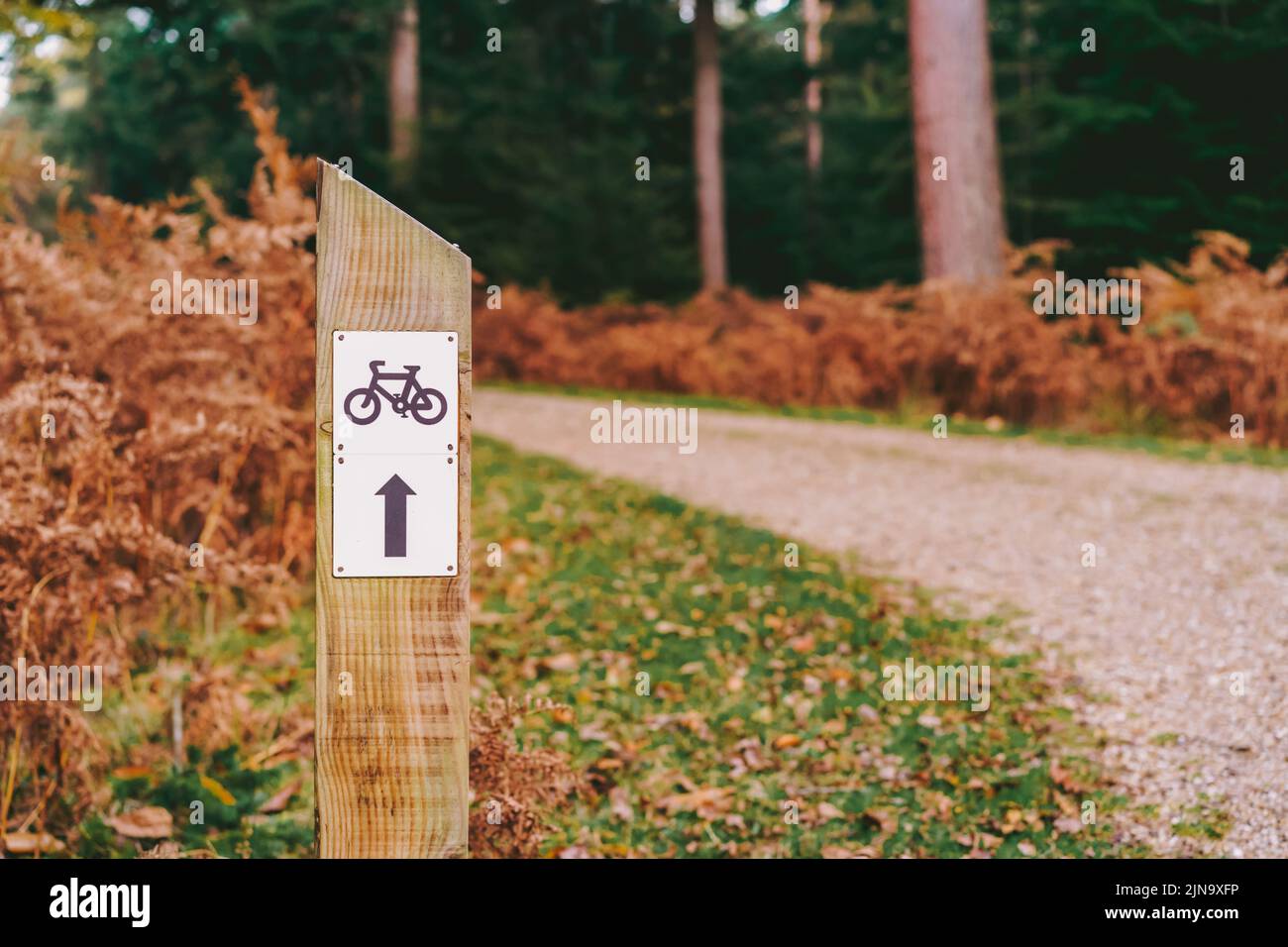 Signpost biking trails with arrow driving direction of the road. Wooden ...