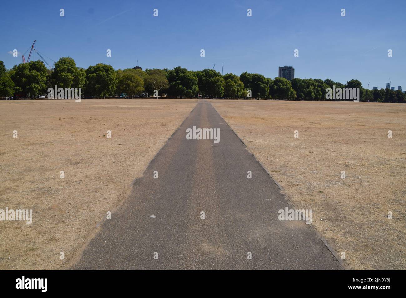 London, UK. 10th August 2022. A parched Hyde Park on a scorching day as ...