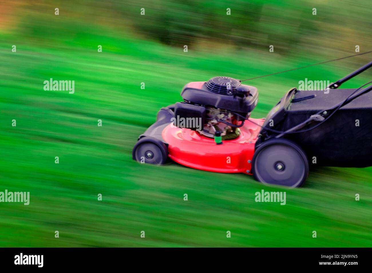 Red lawn mower in lush green grass mowing lawn cutting Stock Photo - Alamy