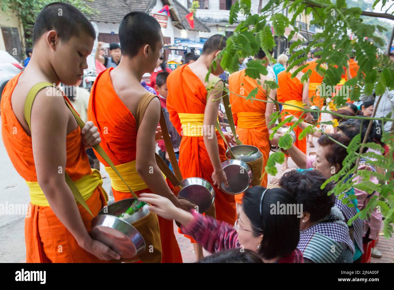 Morning offering to monks, Luang Prabang, Laos Stock Photo - Alamy