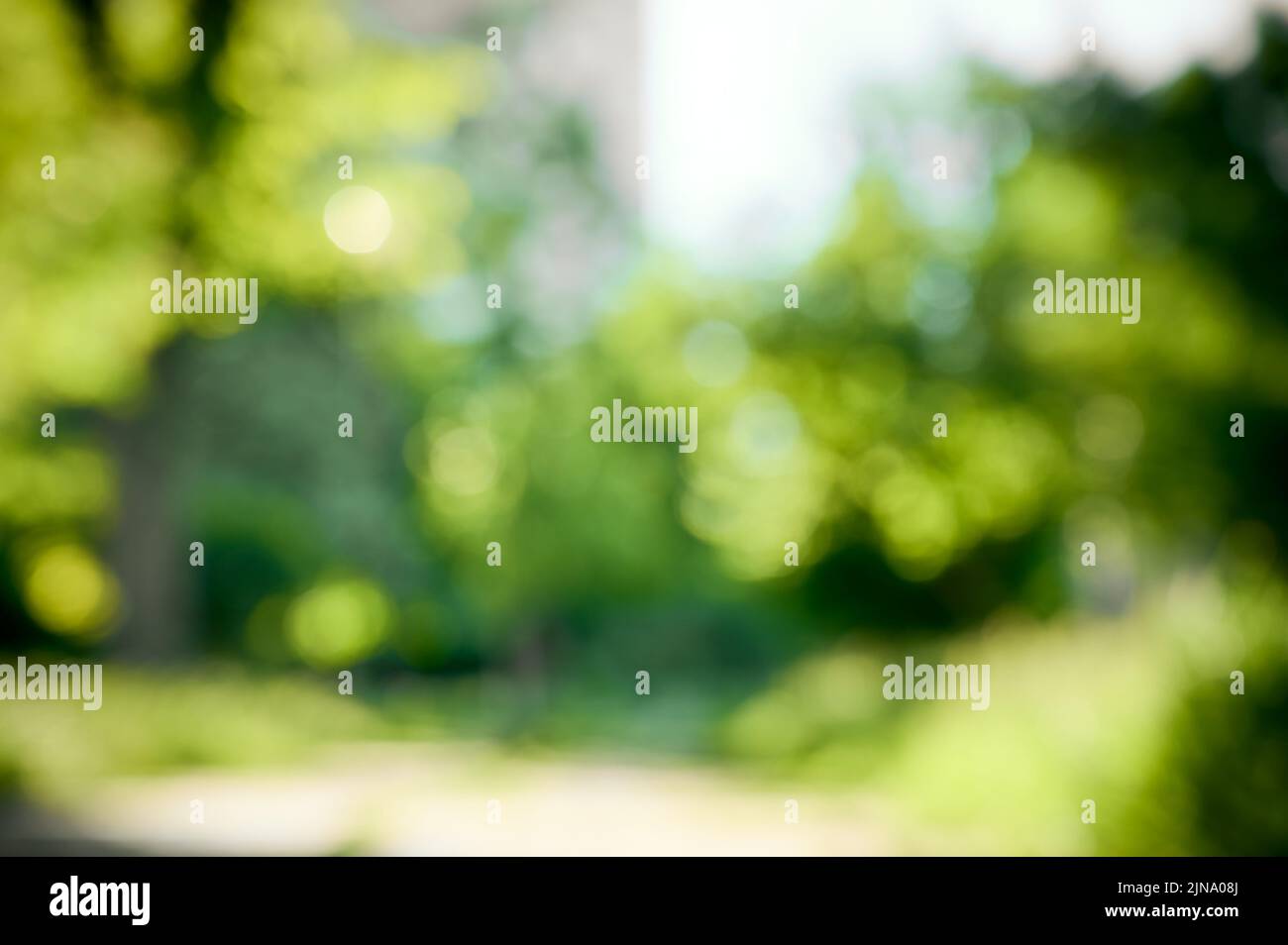 Natural blurred background with bokeh and sun light Stock Photo - Alamy