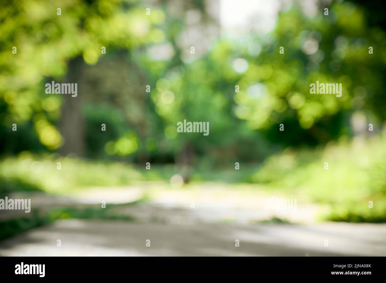 Natural blurred background with bokeh and sun light Stock Photo - Alamy