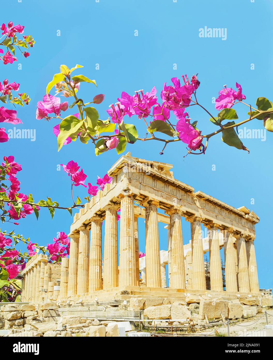 Athens parthenon flowers hi-res stock photography and images - Alamy
