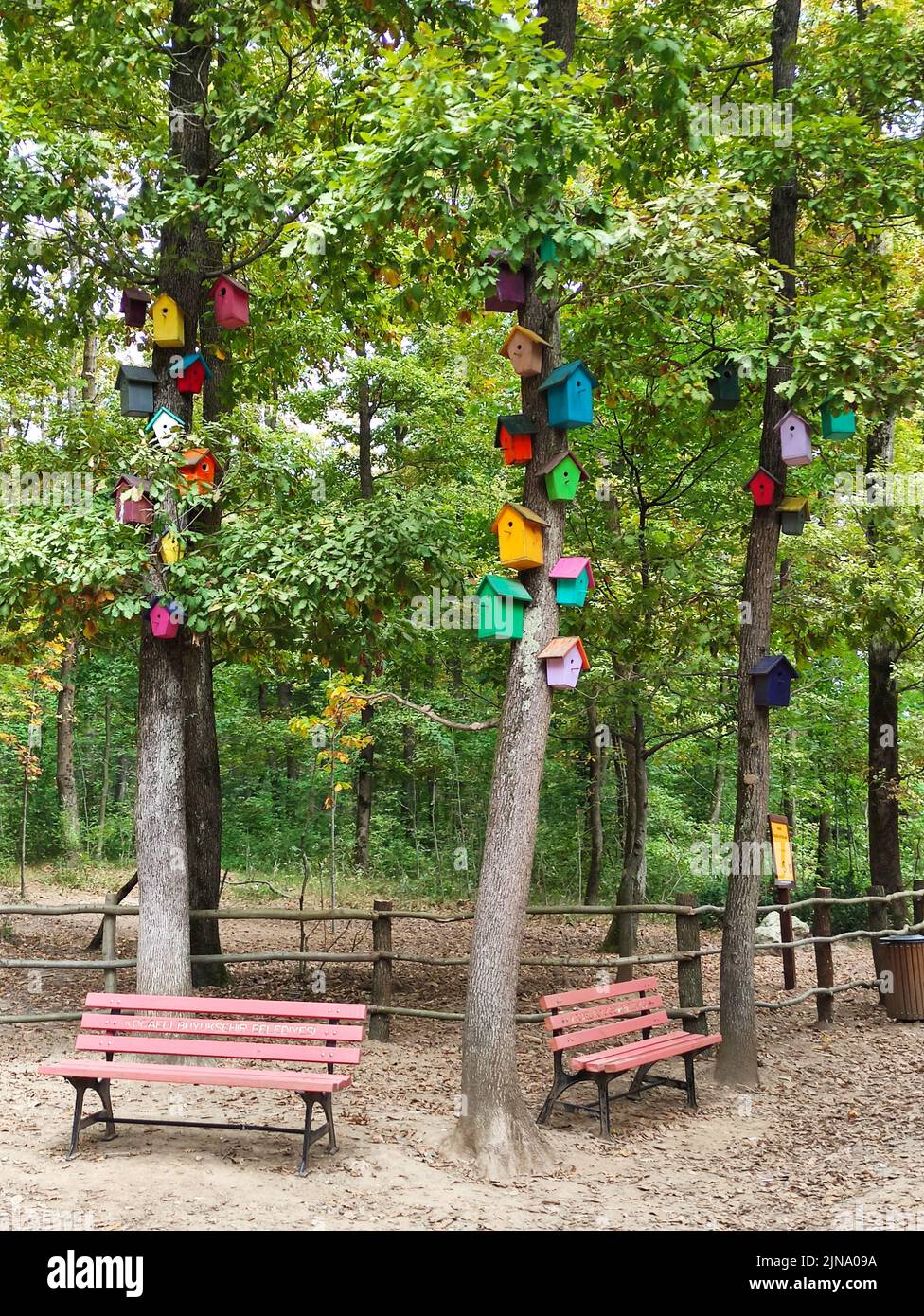 A vertical shot of trees with colorful bird houses on them and benches ...
