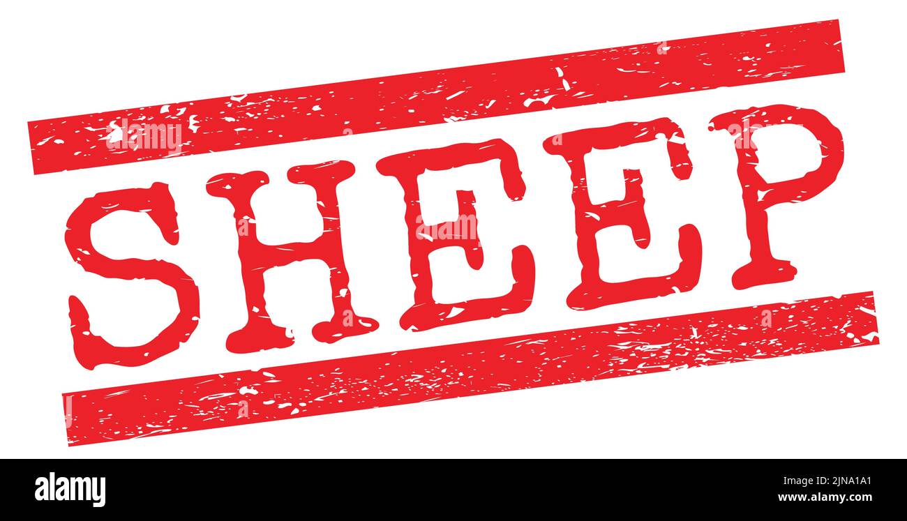 SHEEP text written on red grungy lines stamp sign Stock Photo - Alamy