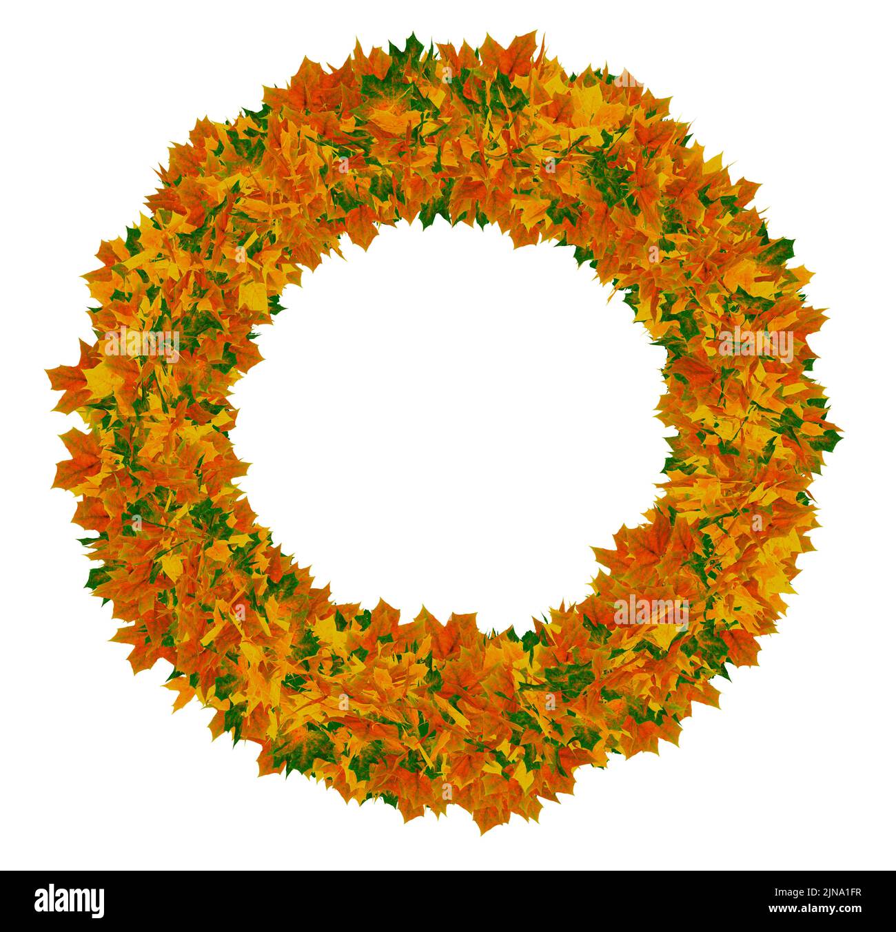 round autumn wreath of maple yellow, red, green leaves Stock Photo - Alamy