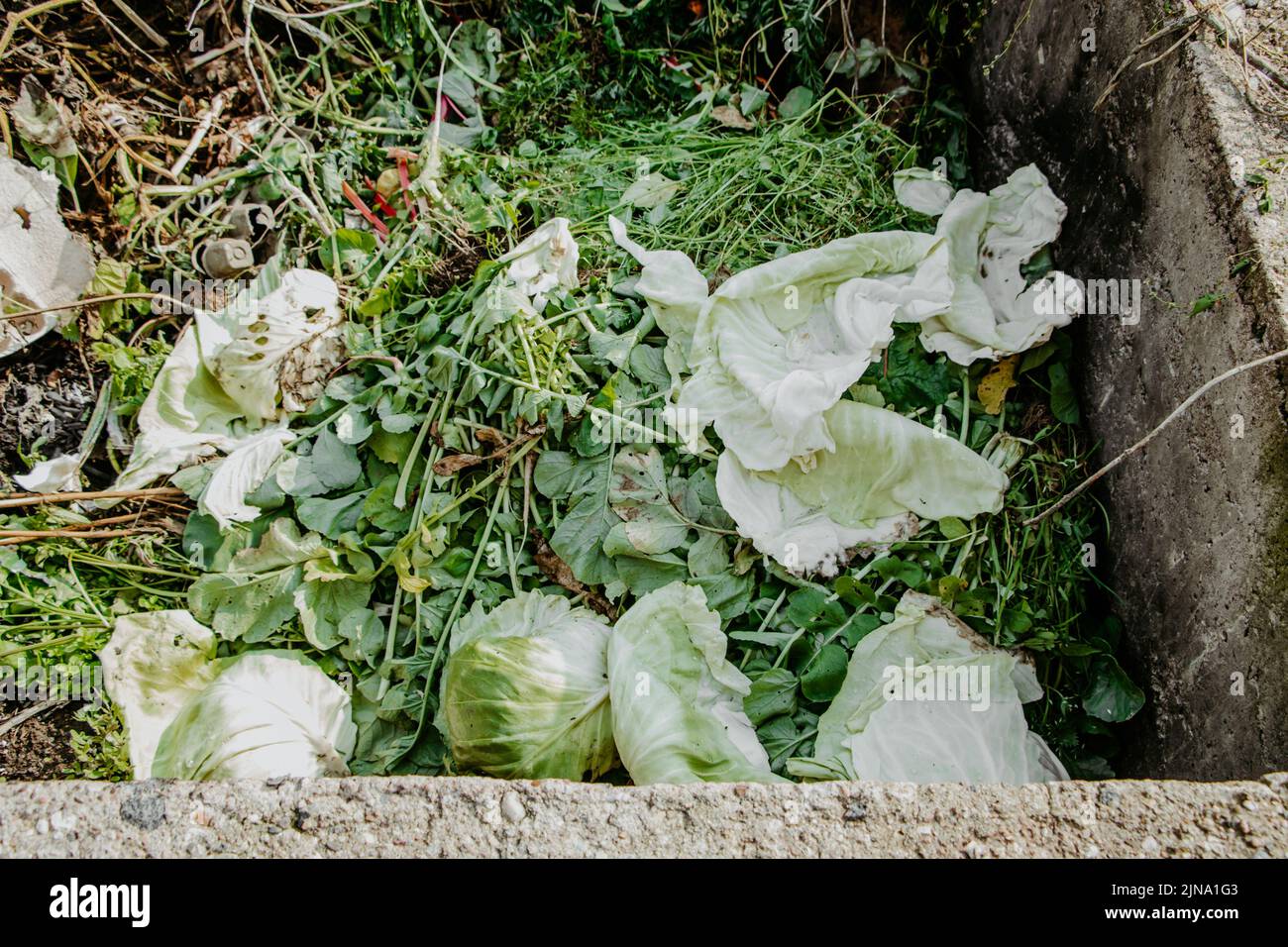 Compost pit for food waste. Eco-friendly consumption, recycling ...
