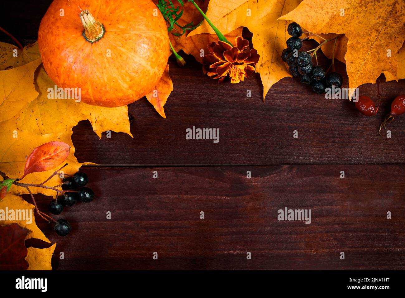 Autumn background. Frame from ripe pumpkins and fallen leaves on wooden ...