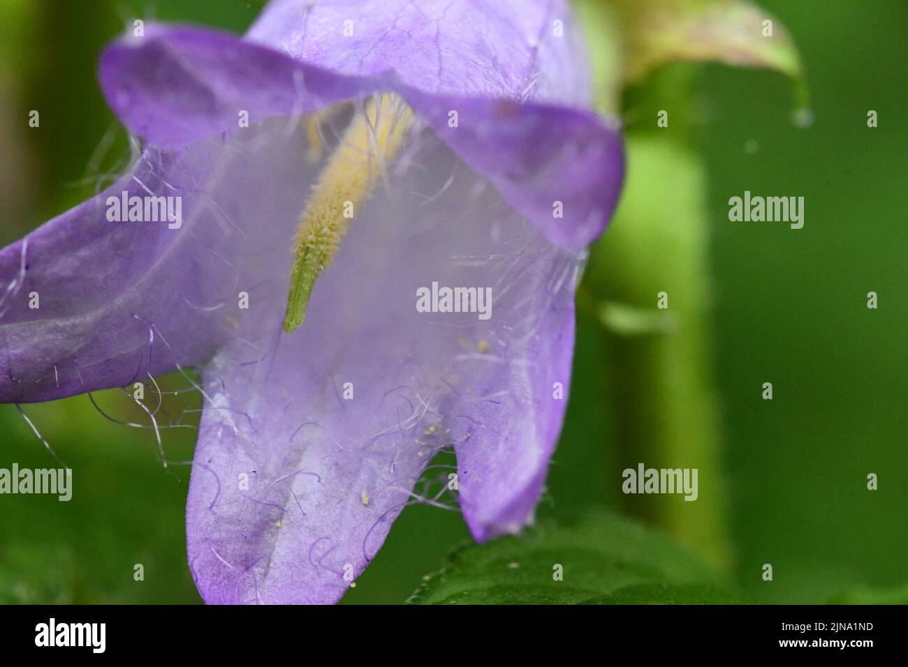 Beautiful pictures of ireland hi-res stock photography and images - Alamy