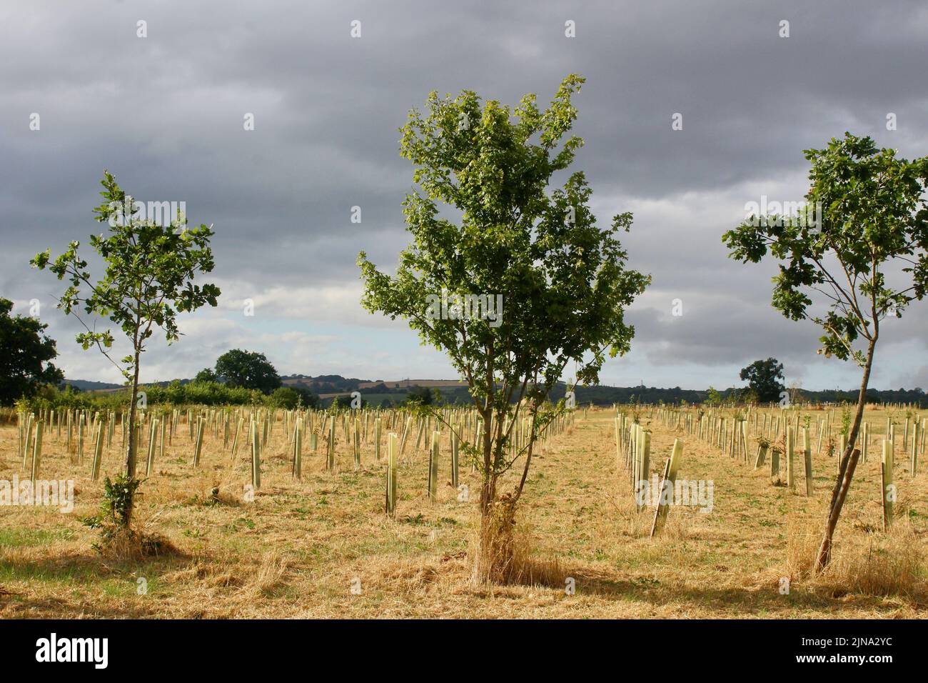 Jubilee flooding hi-res stock photography and images - Alamy