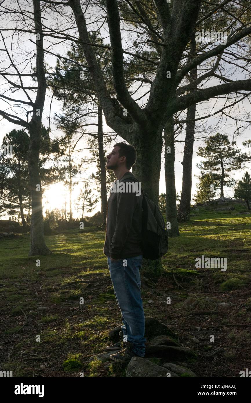man standing in the forest with sun rays at sunset Stock Photo - Alamy