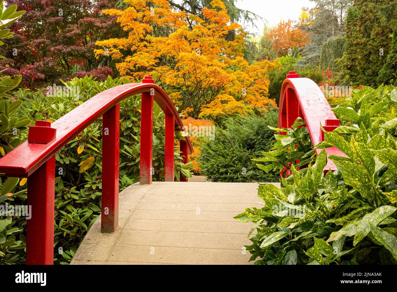 Kubota gardens city park hi-res stock photography and images - Alamy Kubota gardens city park hi-res stock photography and images - Alamy
