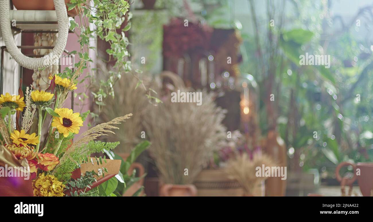Blurry shot flower shop interior hi-res stock photography and images ...